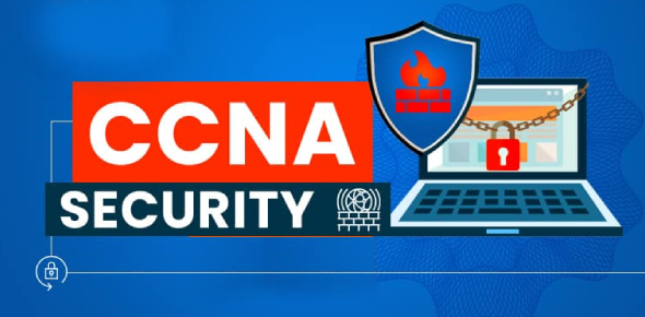 CCNA Security Chapter 1 - Quiz & Trivia